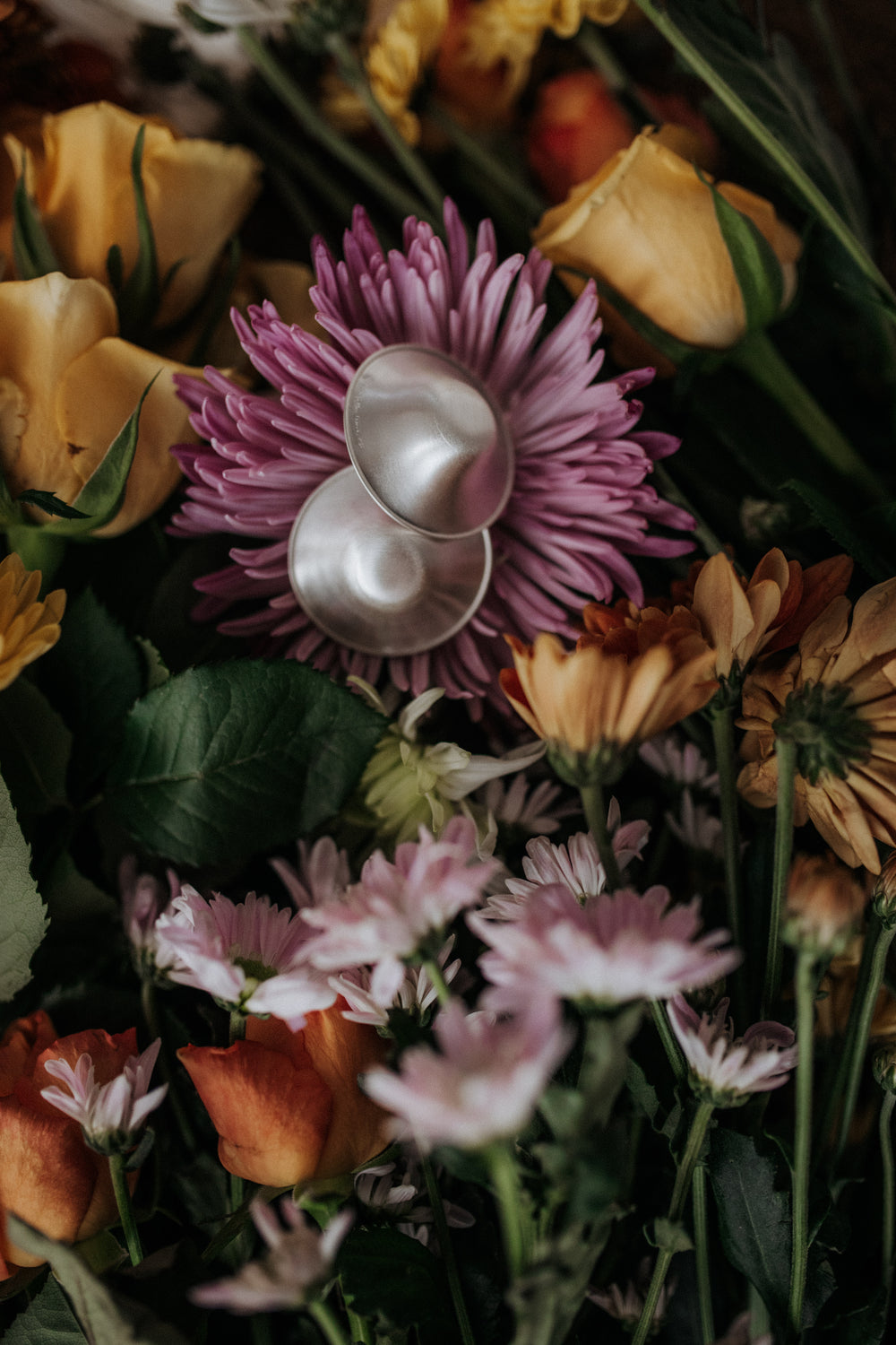 Let’s Talk Birth Townsville – Let's Talk Birth Shop